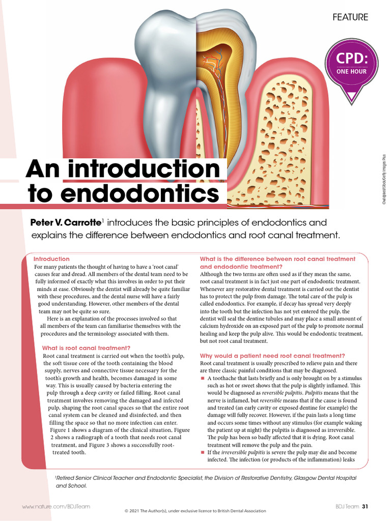 An Introduction To Endodontics: Feature | PDF