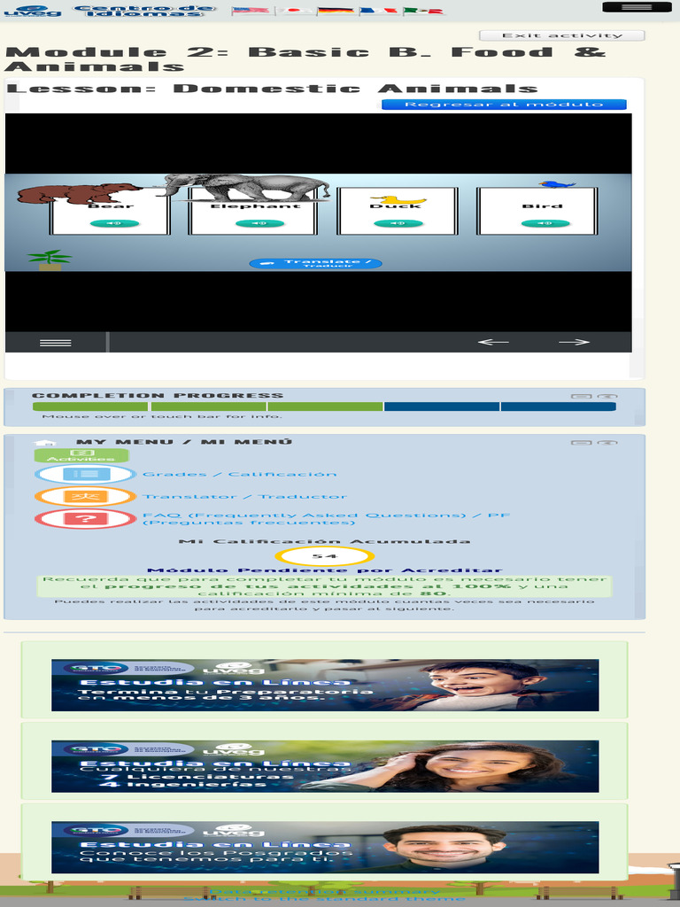 Module 2 Basic B. Food & Animals Lesson Domestic Animals | PDF