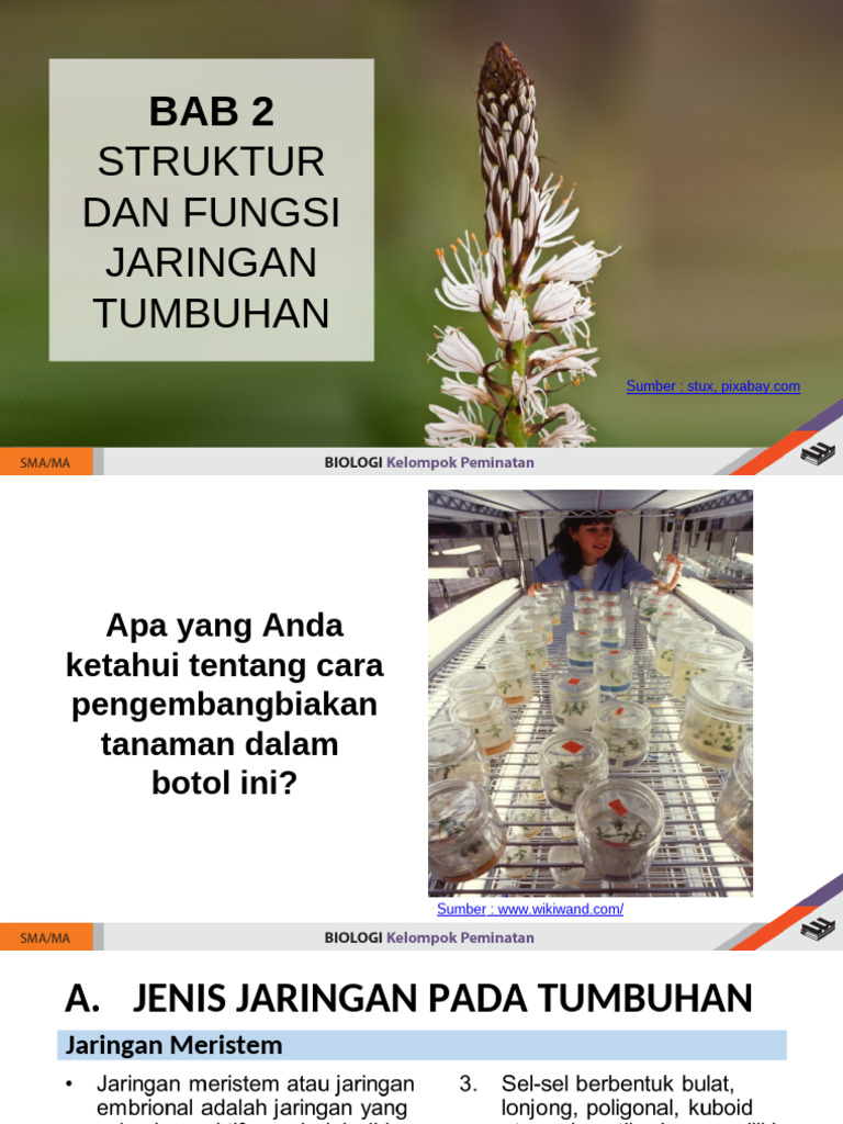 Bab 2 - Struktur - New-Std | PDF
