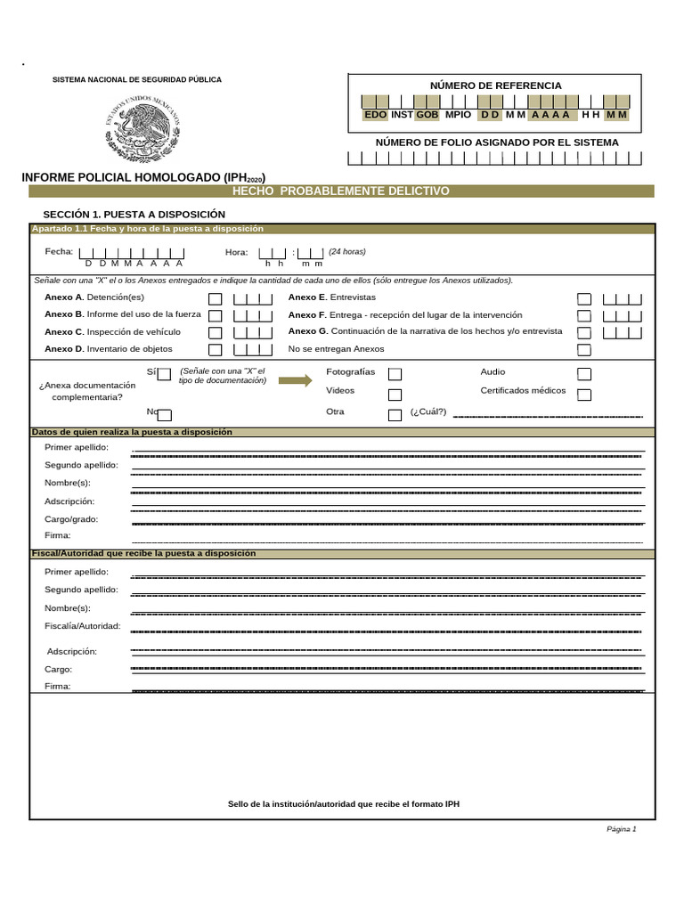 IPH - 2020 Editable-Plantilla | PDF