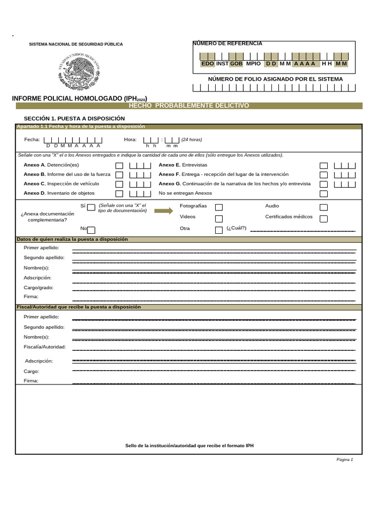 IPH - 2020 Editable | PDF