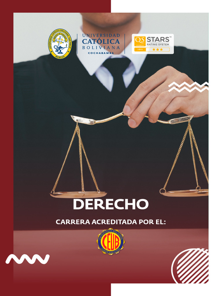 Derecho 2020 (Interactivo) | PDF