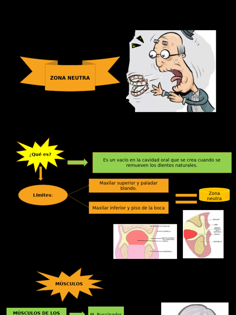 Zona Neutra-Síndrome Combinado | PDF