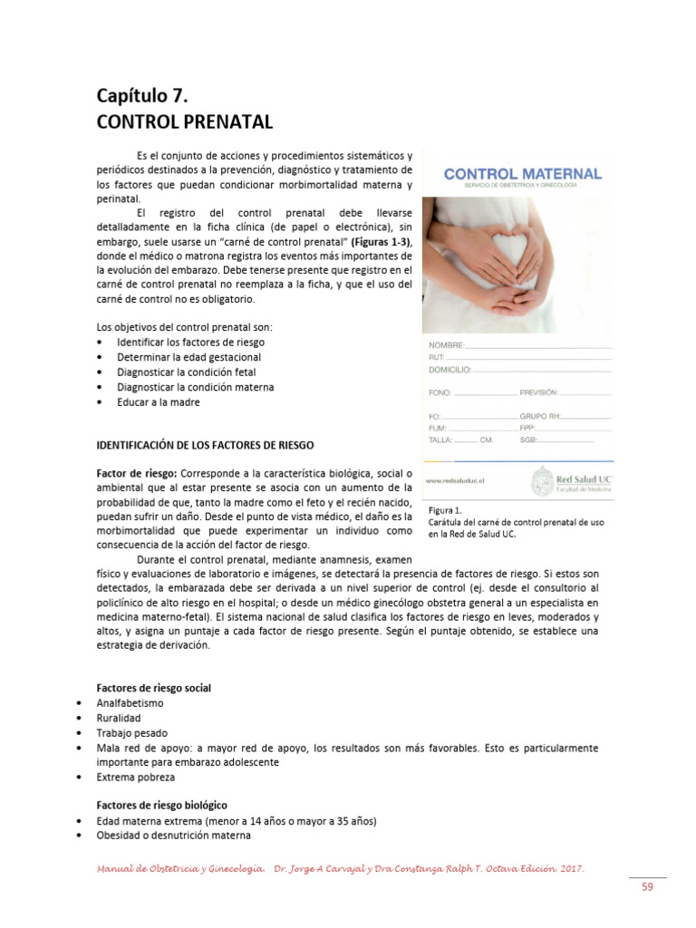 Control Prenatal | PDF