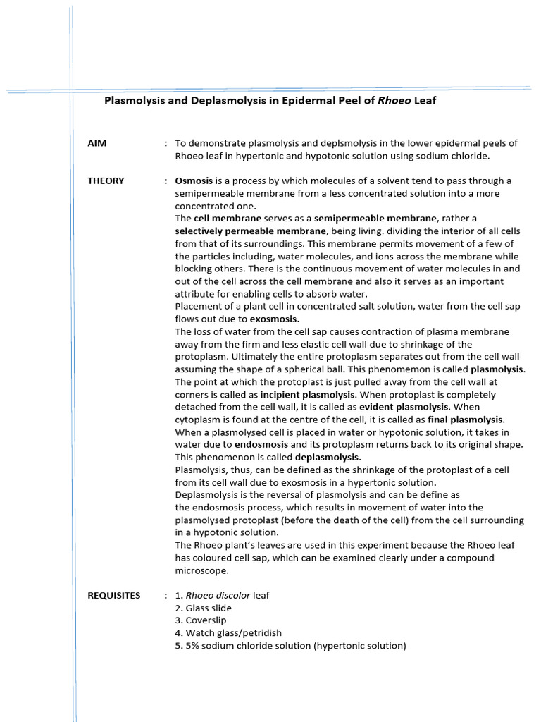 G11 - Bio - Pract - Study of Plasmolysis and Deplasmolysis | PDF | Osmosis | Science & Mathematics