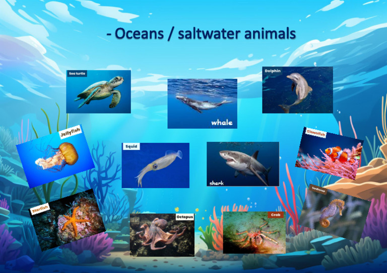 Ocean Animals | PDF