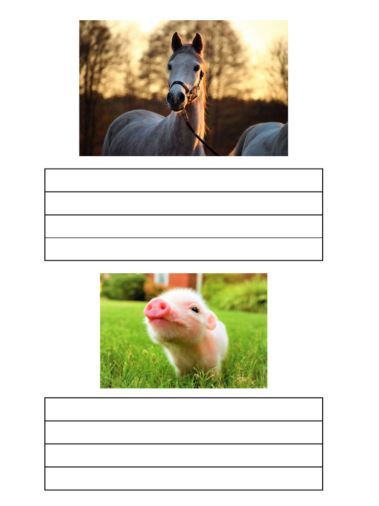 Enciclopedia de Animales | PDF