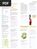 Texto Sobre Violencia Ingles | PDF | Violence | Nonviolence