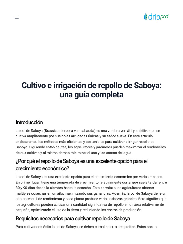 Cultivo e Irrigación de Repollo de Saboya - Una Guía Completa - DripPro | PDF