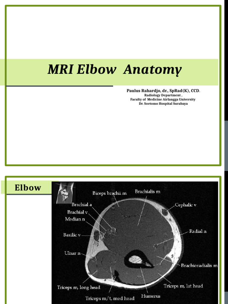 Mri Elbow Anatomy | PDF