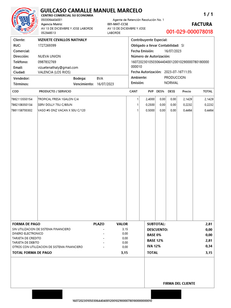 Ejemplo de Factura en México | PDF | Tecnología financiera | Finanzas y dinero