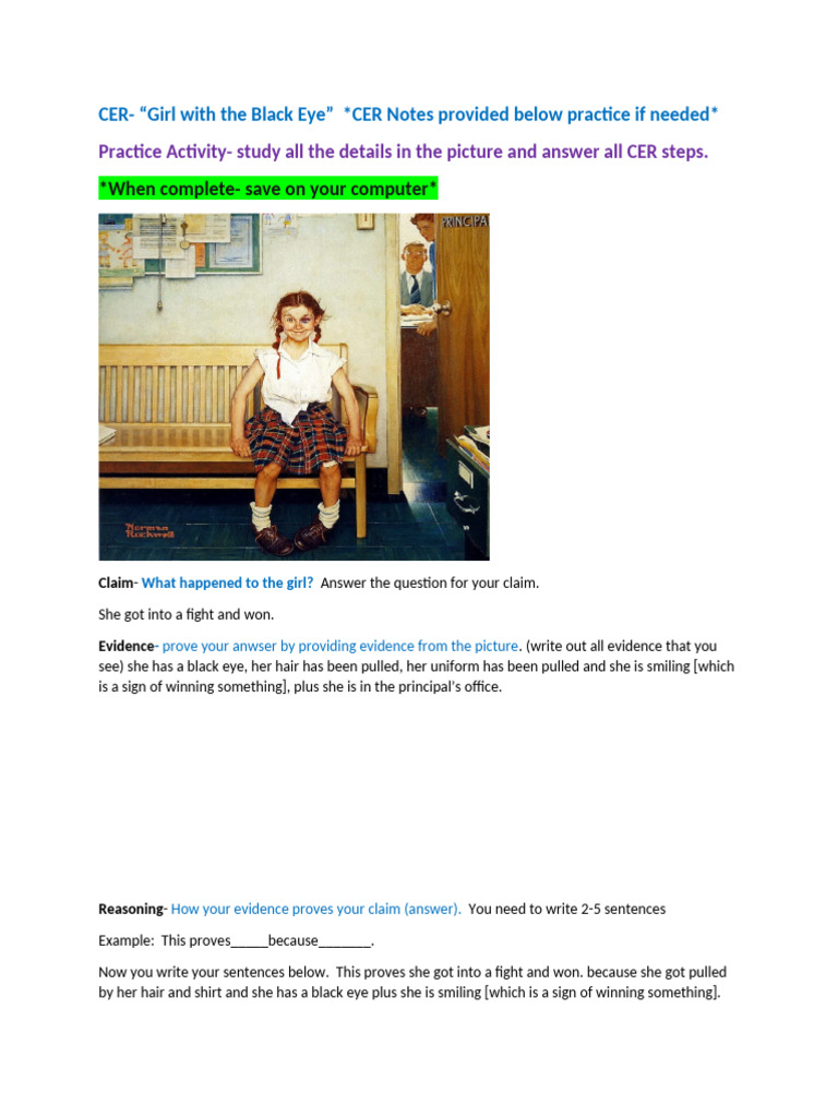CER - Practice Activity | PDF