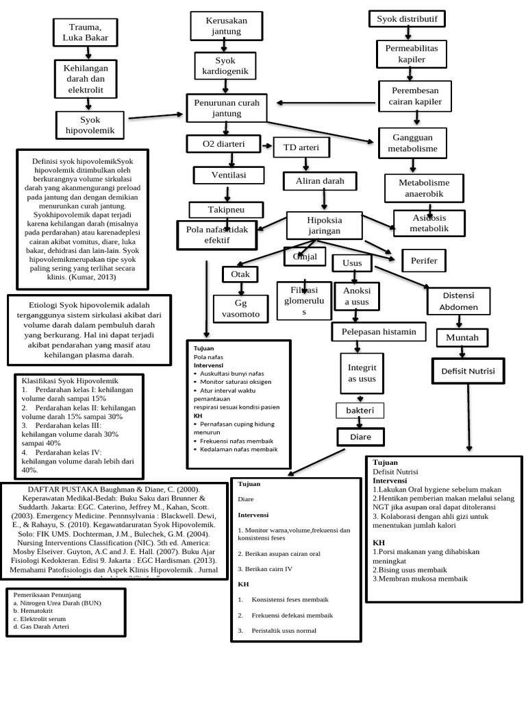 Pathway Syok Hipovolemik | PDF