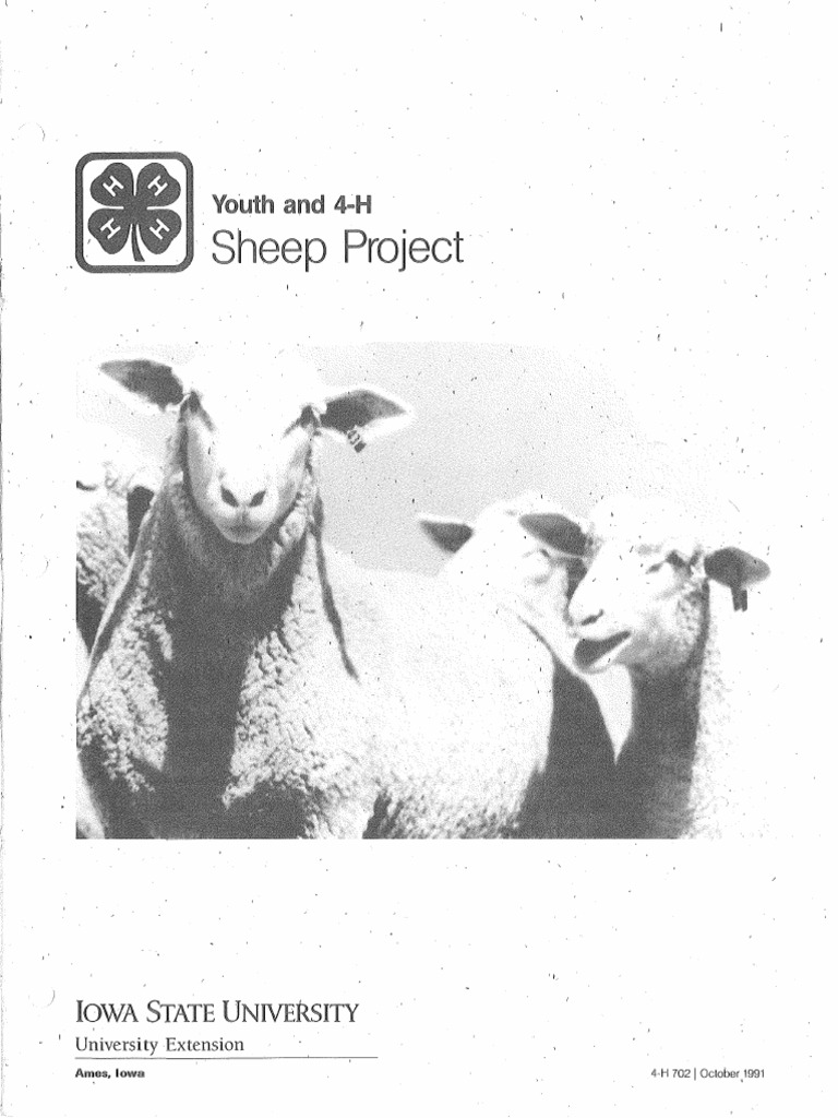 Comprehensive Guide to Sheep Selection | PDF | Sheep | Wellness