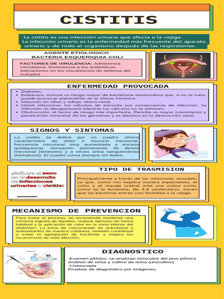 Infografia Cistitis | PDF