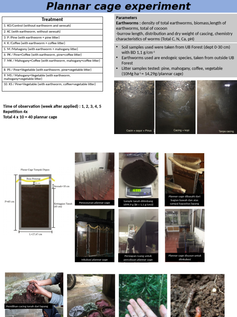 Plannar Cage Experiment | PDF