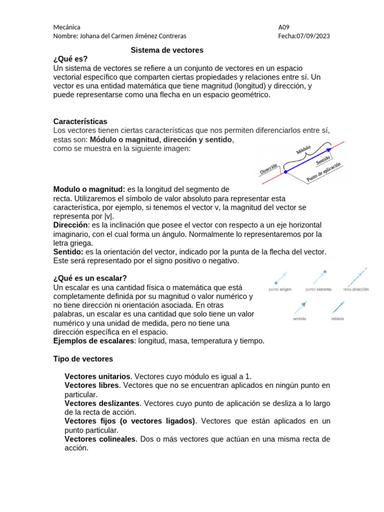Sistema de vectores | PDF