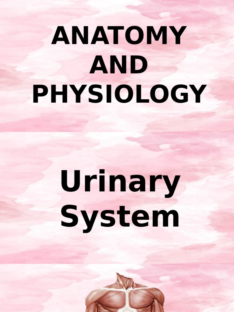 Anatomy of Human Body | PDF