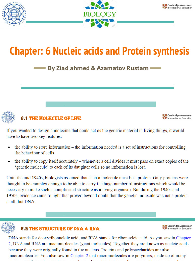 Chapter 6 Nucleic Acid & Protein Synthesis-Long | PDF