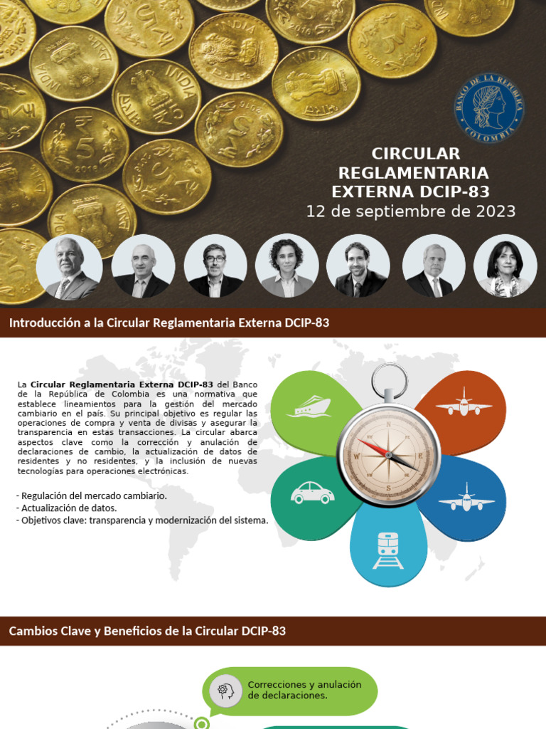 Circular DCIP-83 | PDF