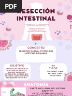 ANTRECTOMIA | PDF | Estómago | Tracto gastrointestinal