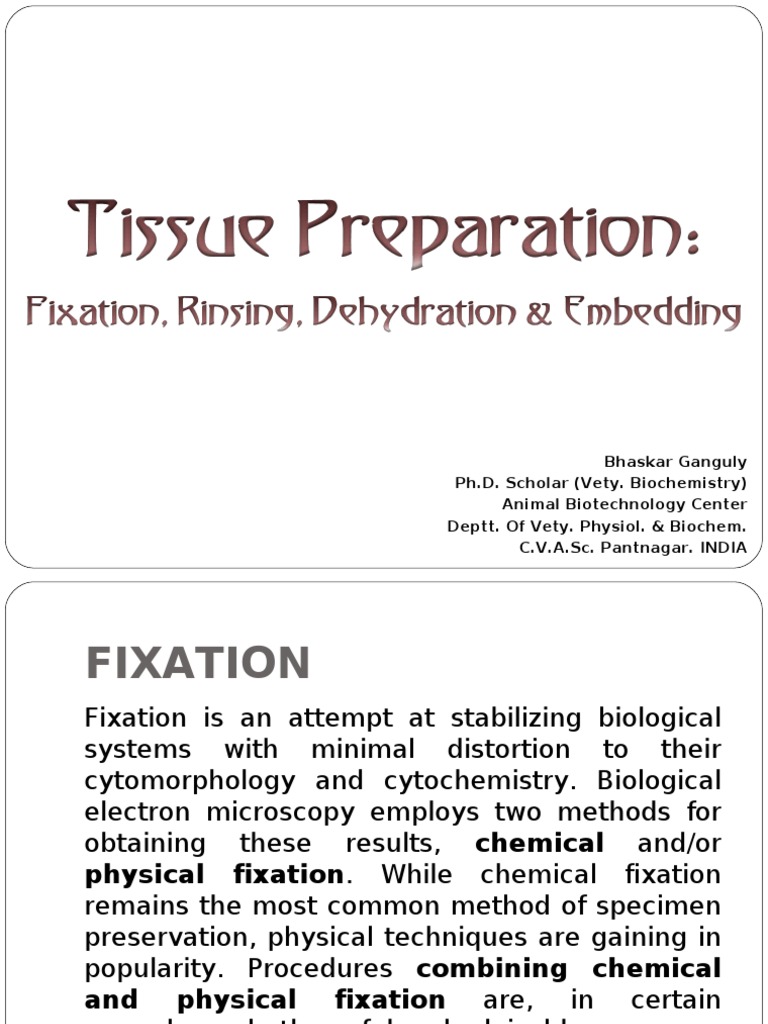 Tissue Processing for TEM: Fixation, Rinsing, Dehydration and Embedding ...