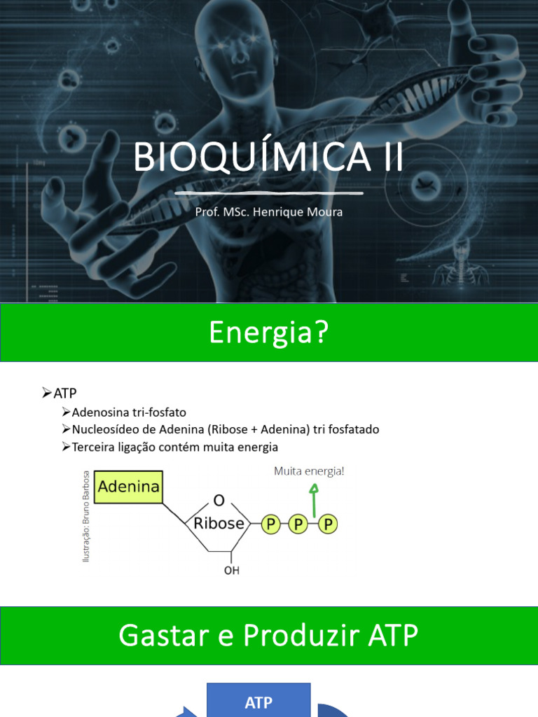 Bioquimica II | PDF