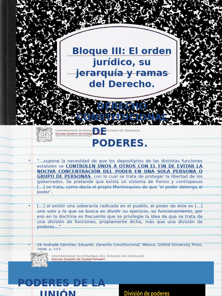Division de Poderes | PDF