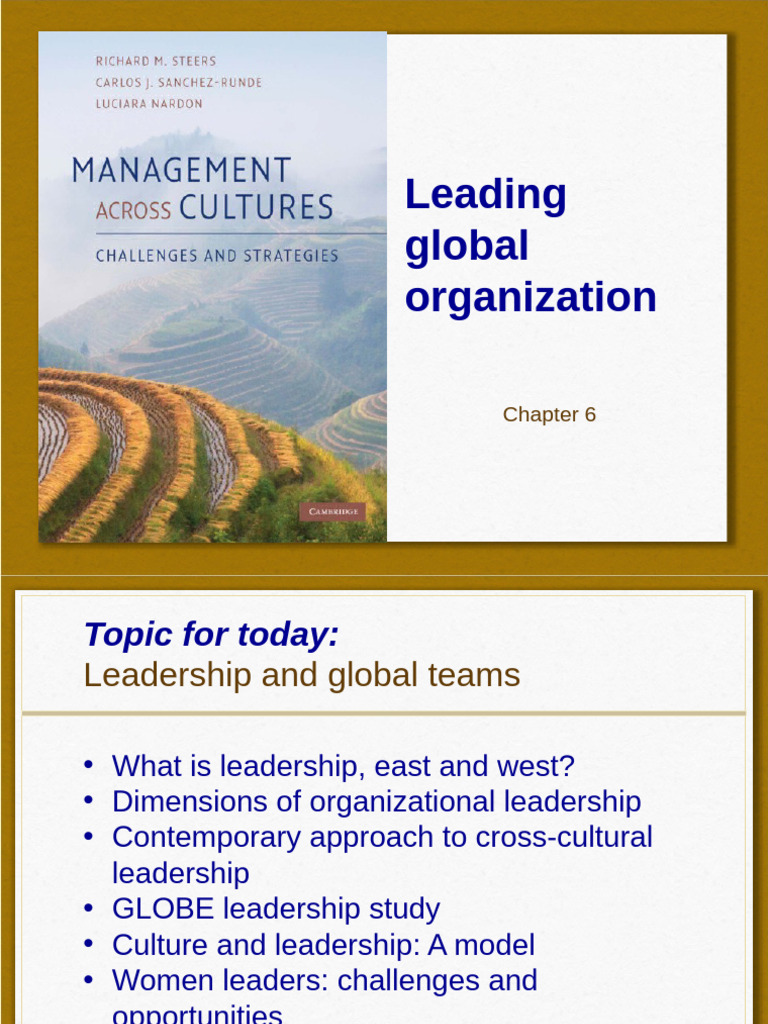 PPT7-Leading Global Organization | PDF