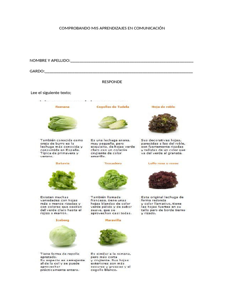 Comprobando Mis Aprendizajes en Comunicación | PDF