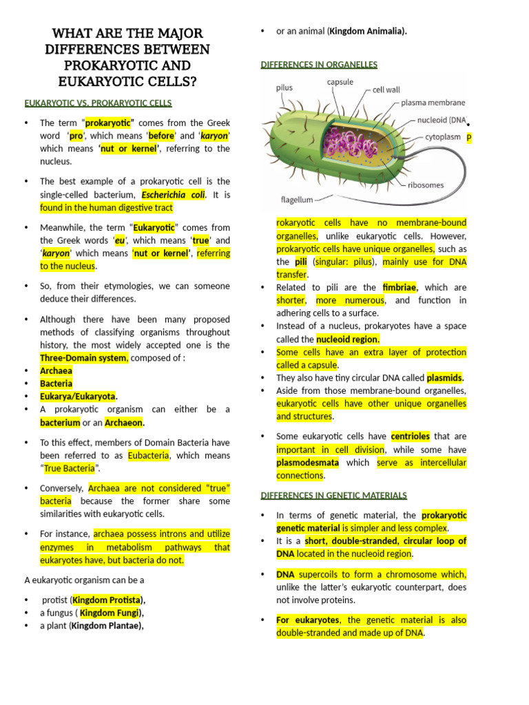 Prokaryotic and Eukaryotic Handouts | PDF | Cell (Biology) | Foreign ...