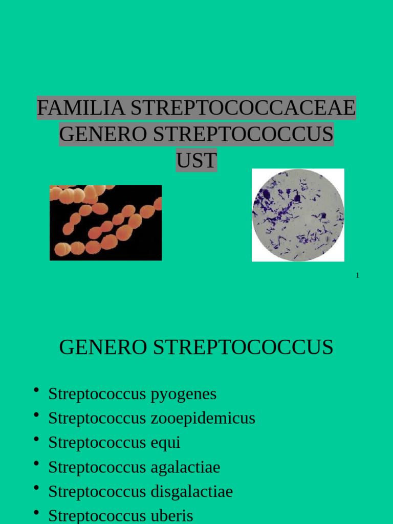 CLASE 8 2 Gen Streptococcus | PDF