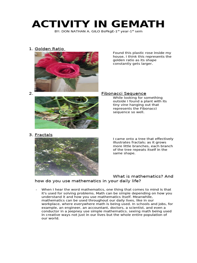 Activity in Gemath | PDF