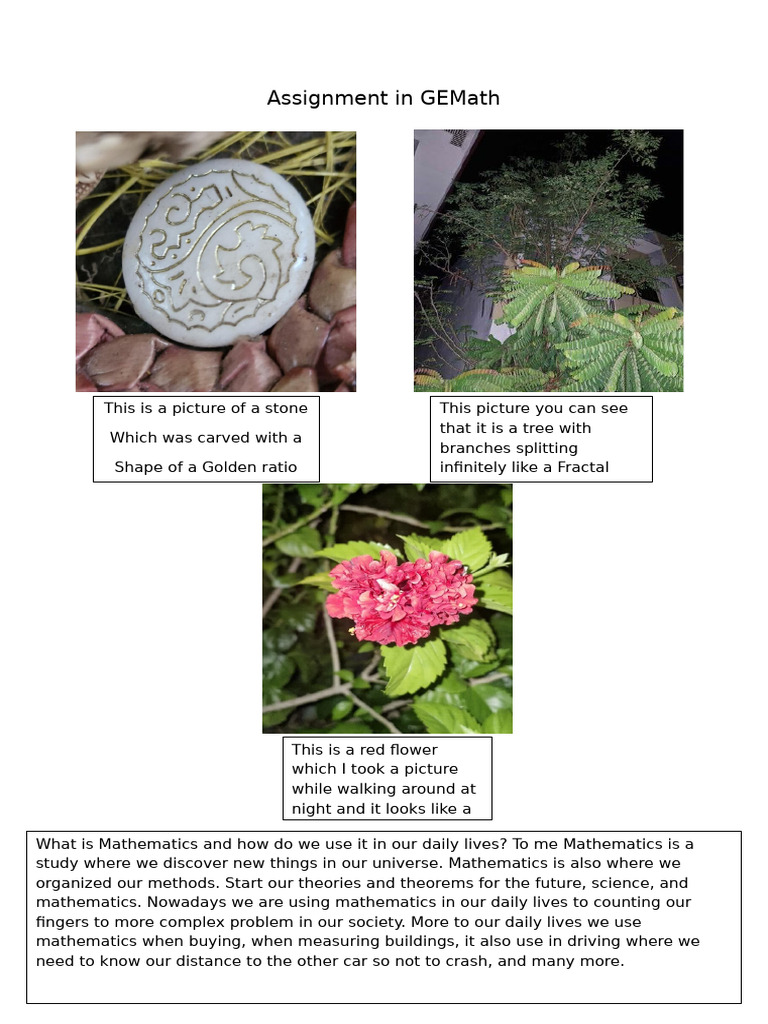 Asssignment Gemath | PDF