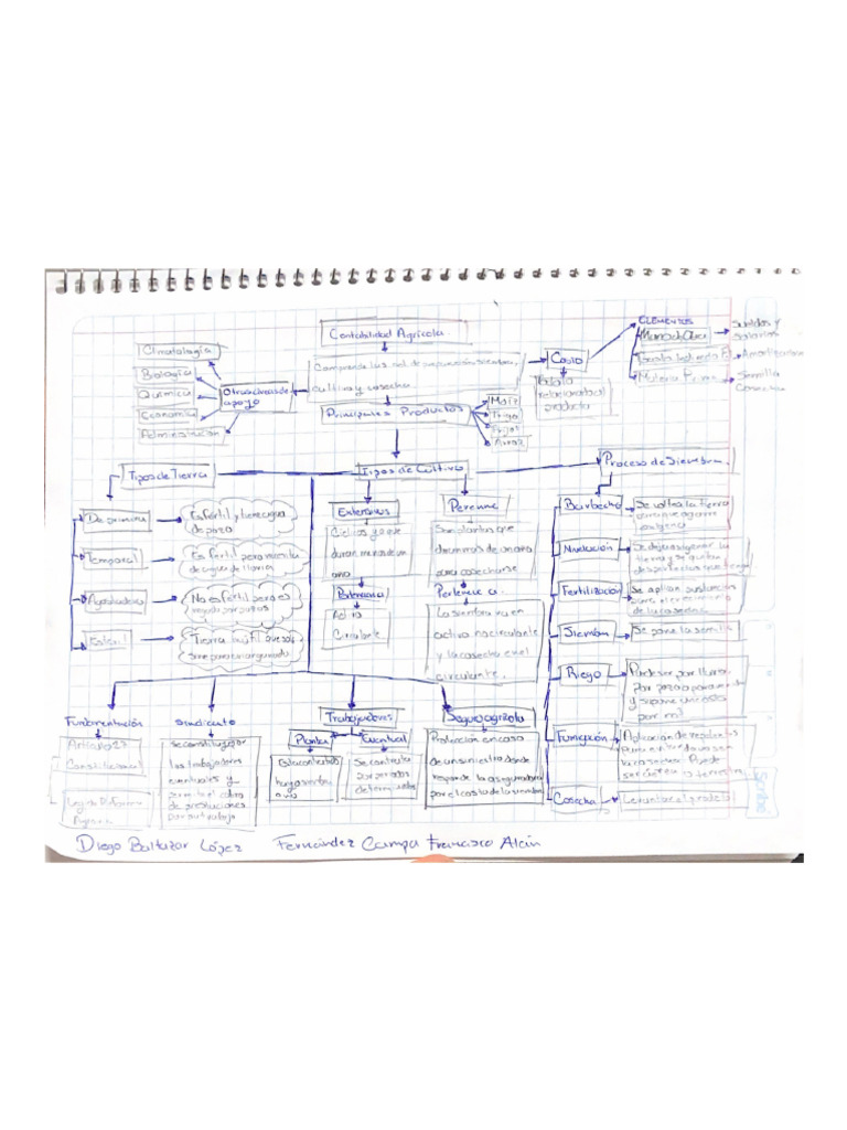 Mapa Conceptual (2) | PDF