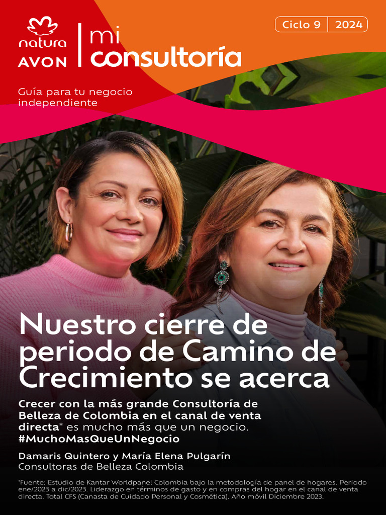 Consultoria C9 | PDF