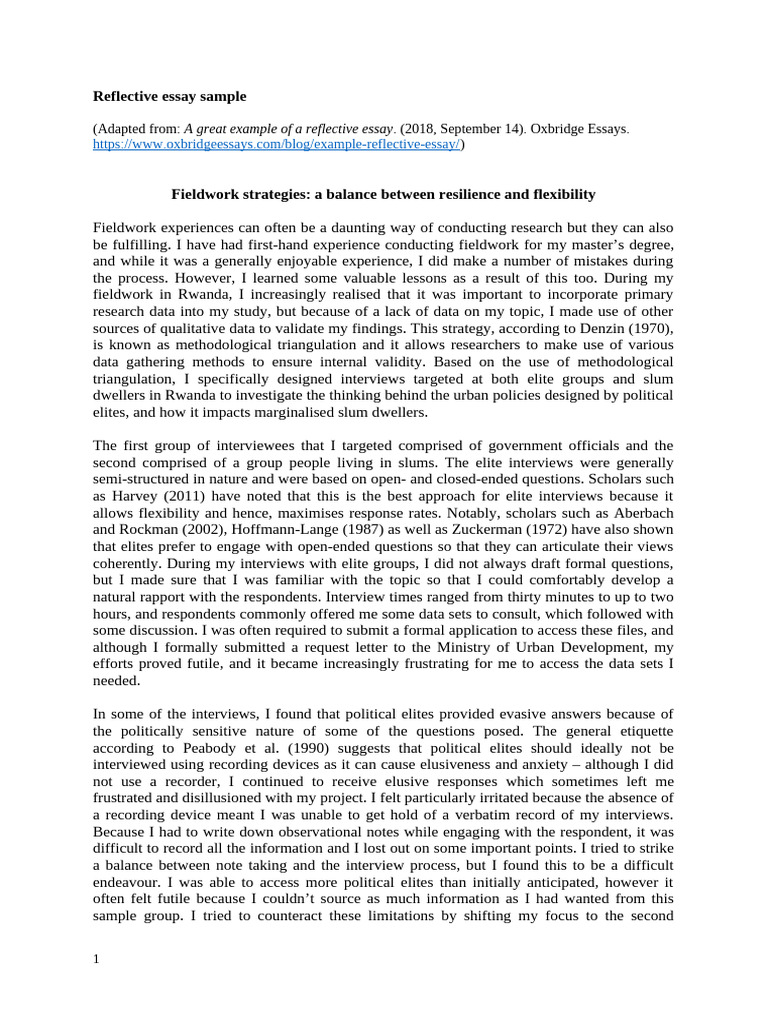 Reflective Essay Sample | PDF | Field Research | Translations