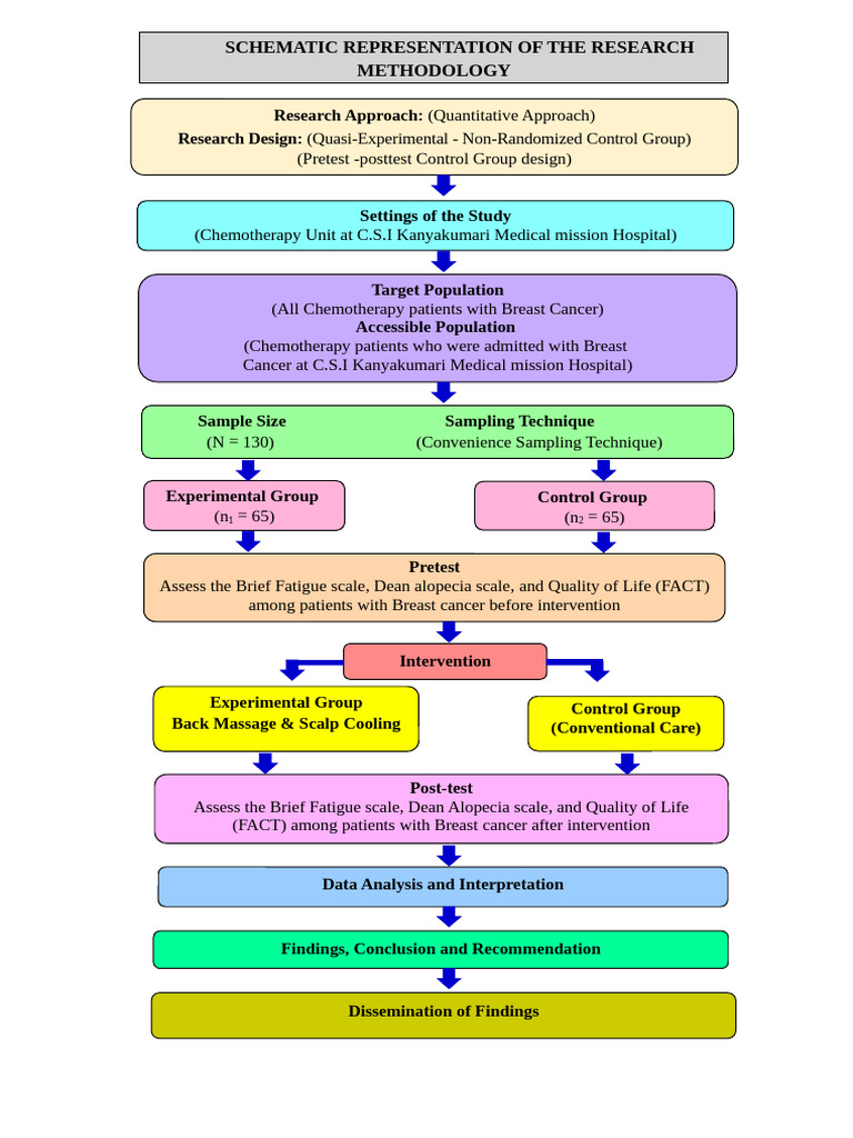 Schematic Representation of The Research Methodology | PDF