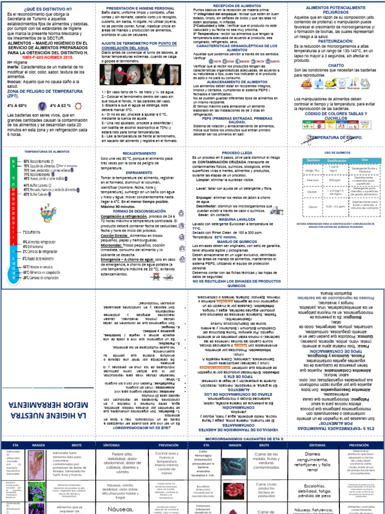 Higienes Triptico Cristal y H | PDF