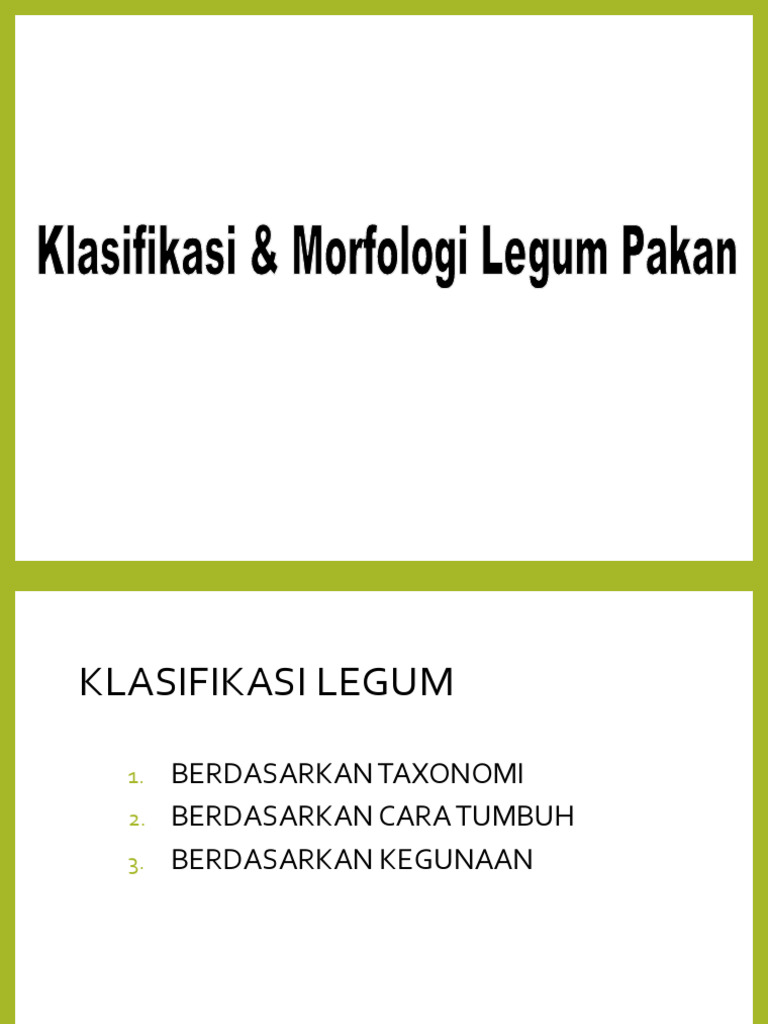 Klas. Dan Morf. Legum | PDF