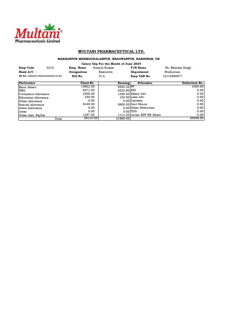 MULTANI PHARMACEUTICAL Payslip Jun | PDF