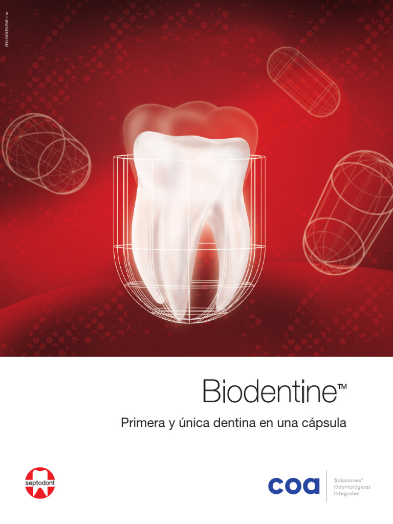 BIODENTINE | PDF