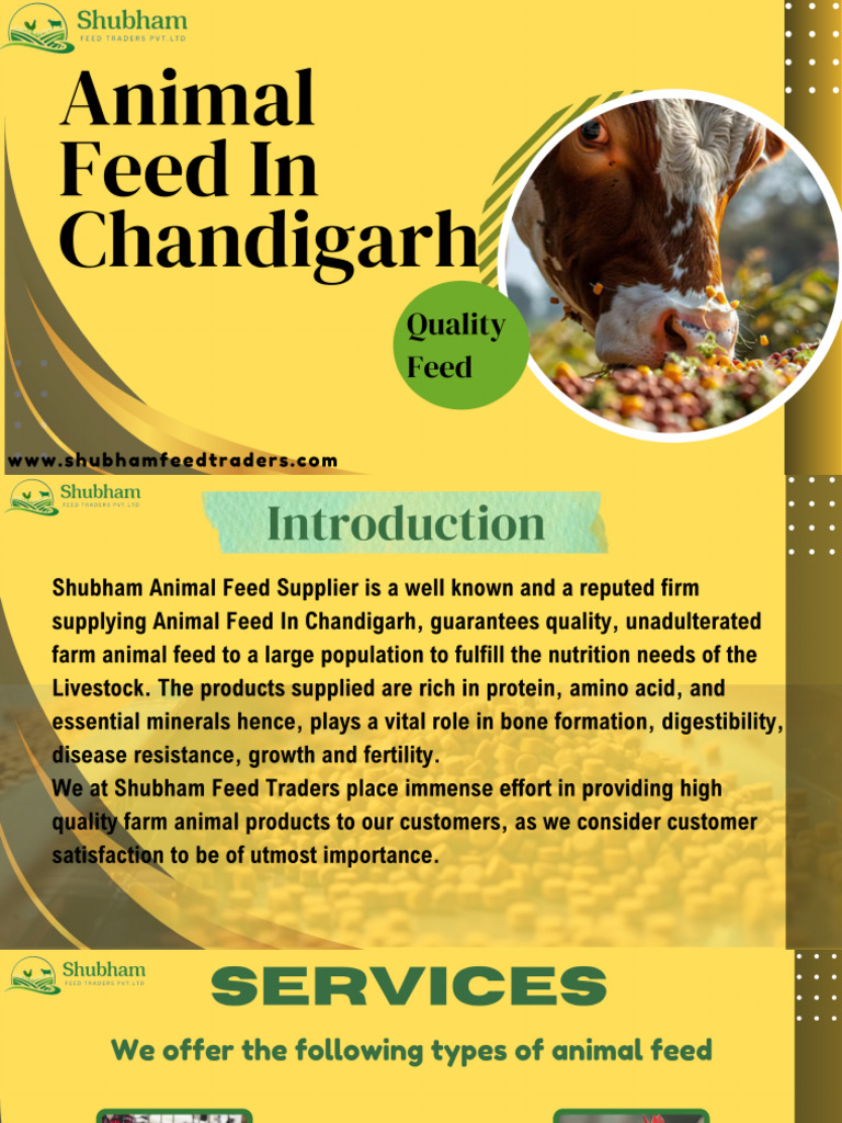 Animal Feed in Chandigarh | PDF