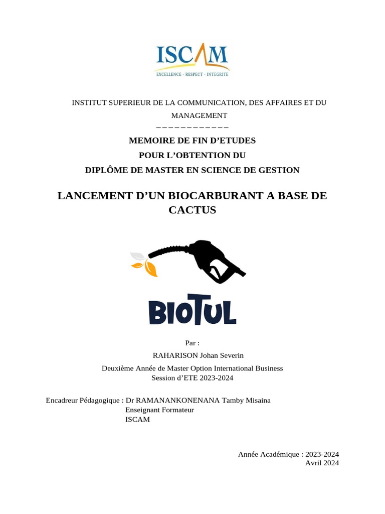 Mémoire Final | PDF