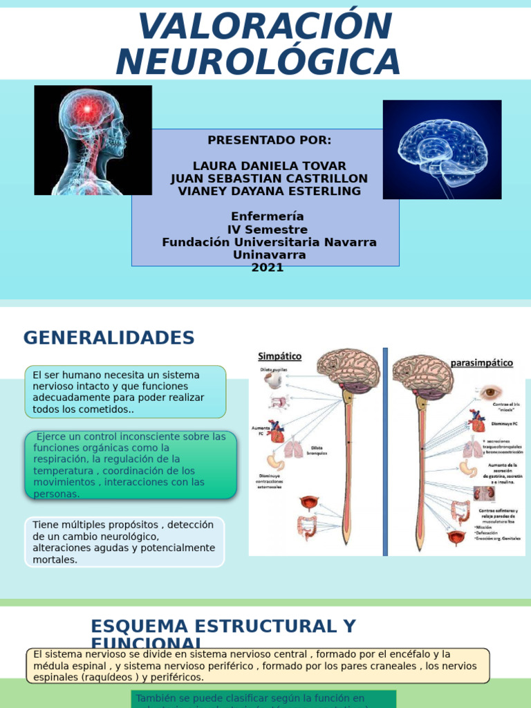 Expo Semiologia SNC y SNP | PDF