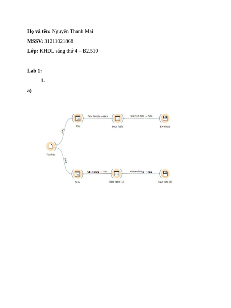 Nguyen Thanh Mai btvn4 | PDF