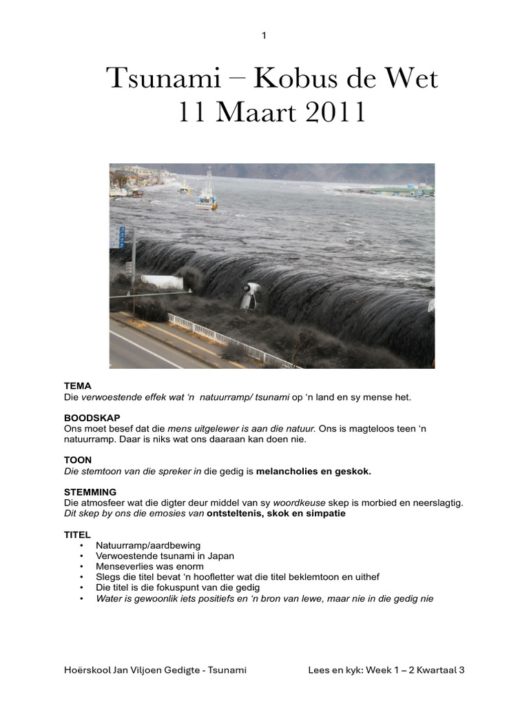 Tsunami Gedig | PDF