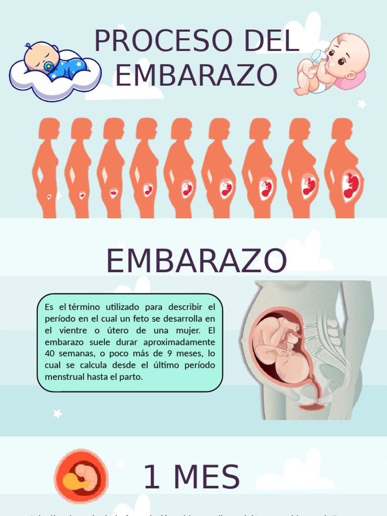 Proceso Del Embarazo | PDF