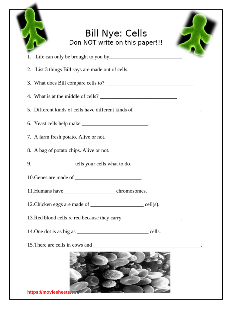 Bill Nye Cells | PDF