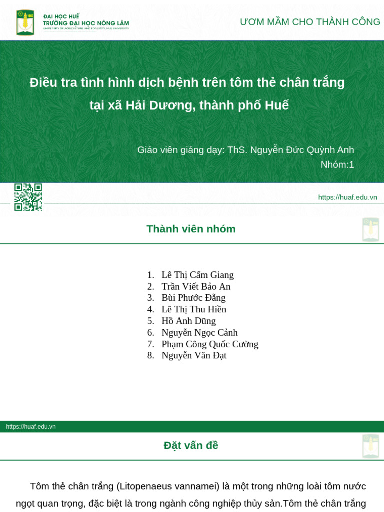 Giang | PDF